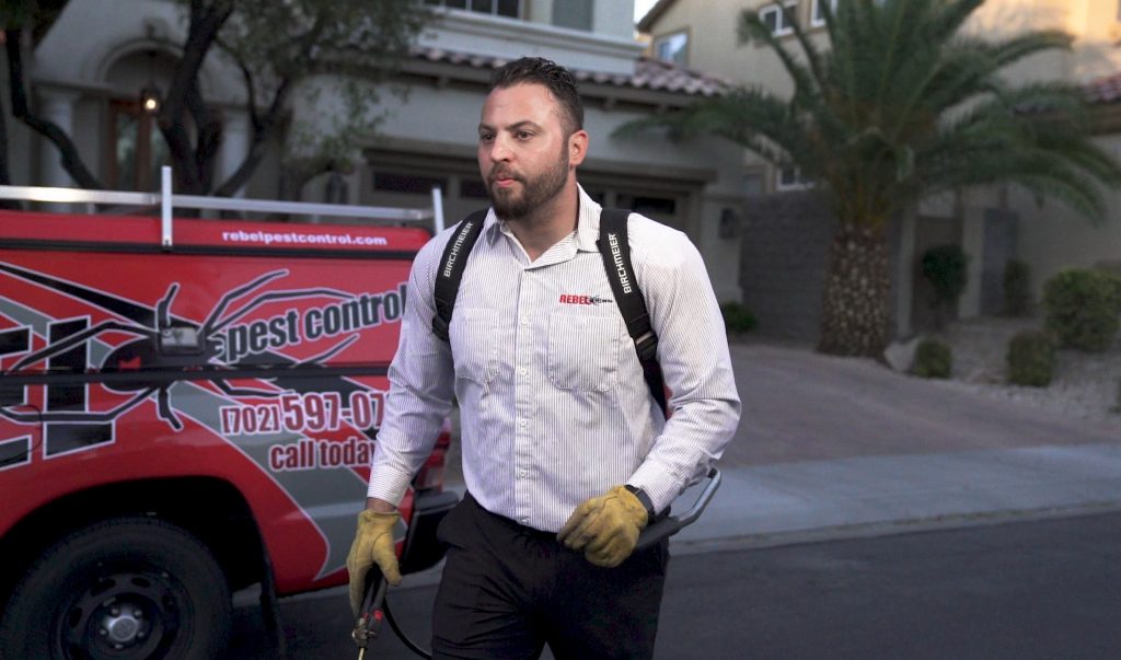 Customer Reviews - Rebel Pest Control