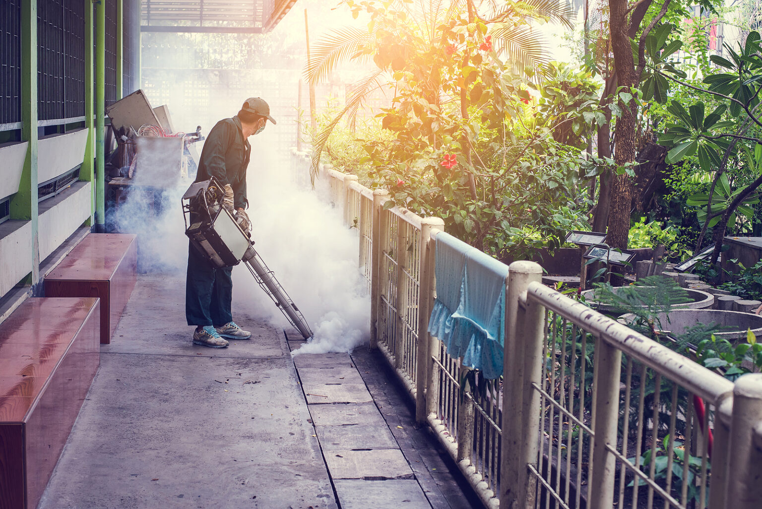 About Us - Rebel Pest Control